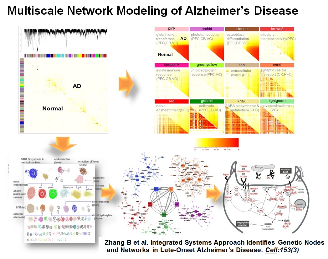 Prof. Bin Zhang's Multiscale Network Modeling Laboratory