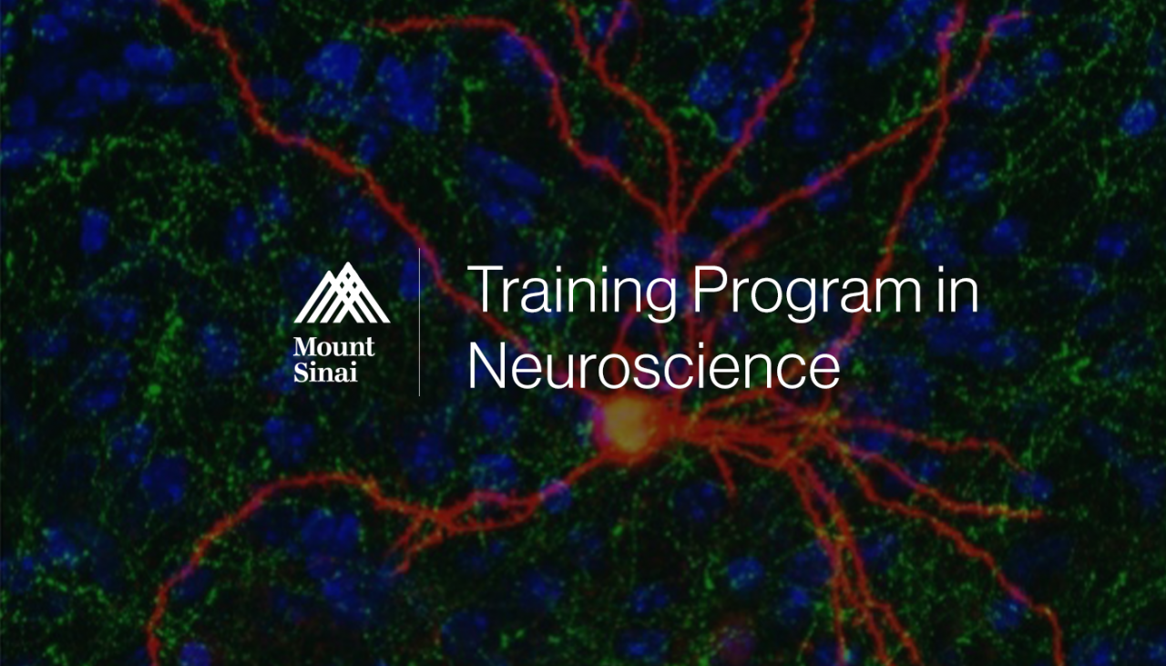 Training Program in Neuroscience - FBI Neuro T32