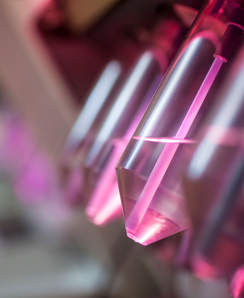 Research - Gallagher Lab