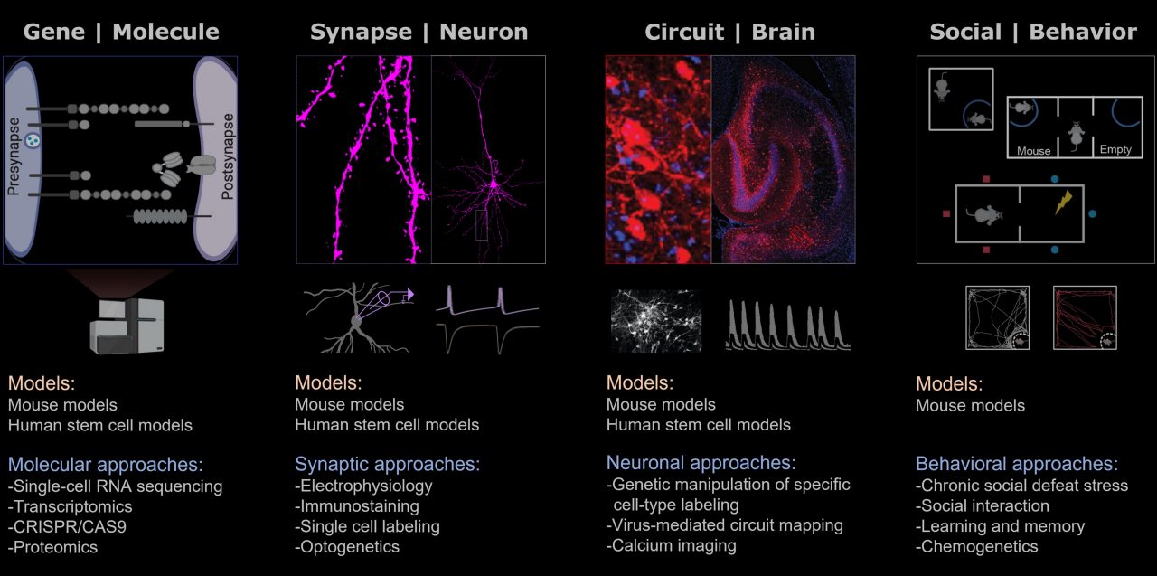 Home - THE DAI LAB AT MOUNT SINAI