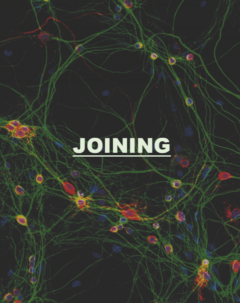 Home - THE DAI LAB AT MOUNT SINAI