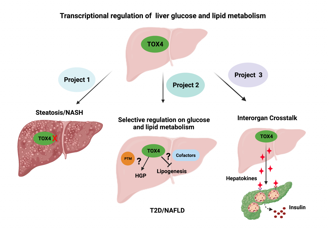 Research - Wang Laboratory