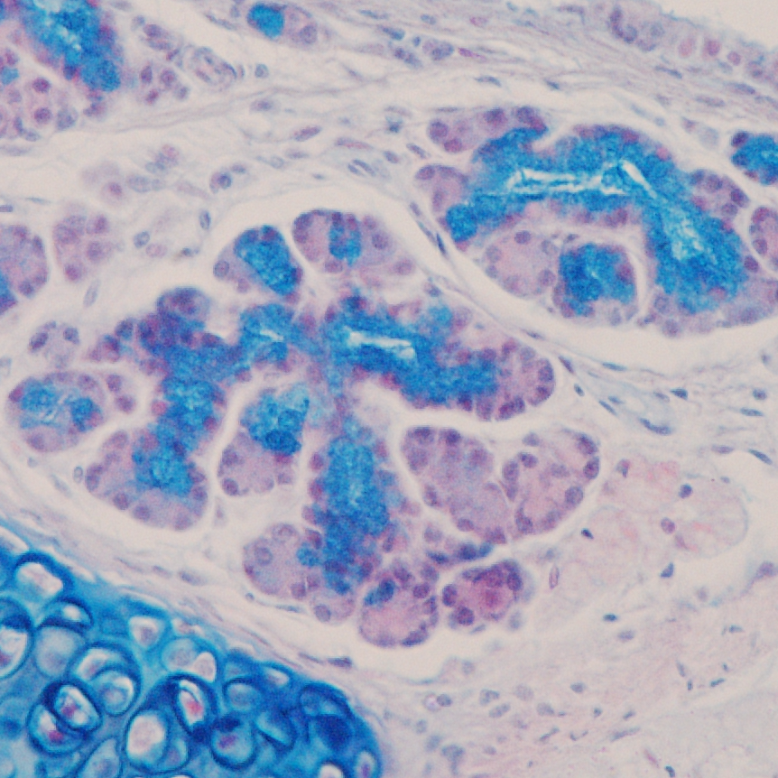 Publications - May Lab