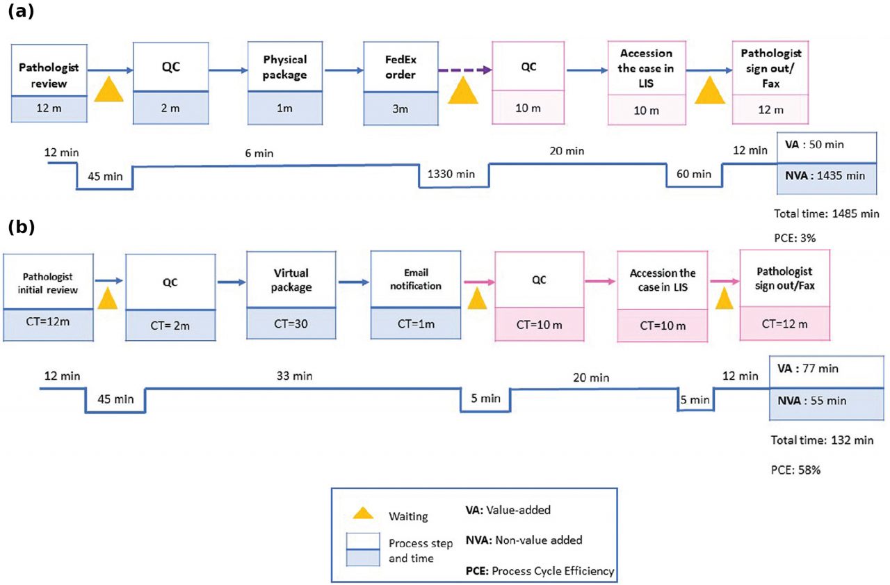 Digital Pathology Slides | Scientific Computing and Data