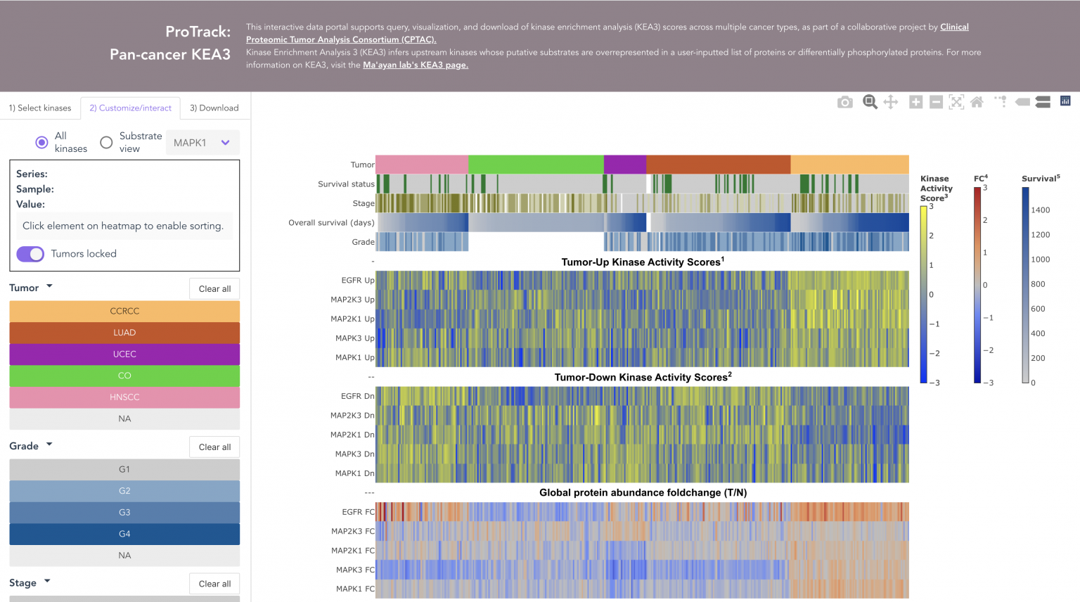 CPTAC Pancancer Phosphoproteomics Kinase Enrichment Analysis with ...