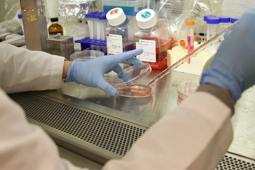 Research | Charles Powell Laboratory