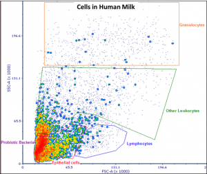 Research | Rebecca Powell Laboratory