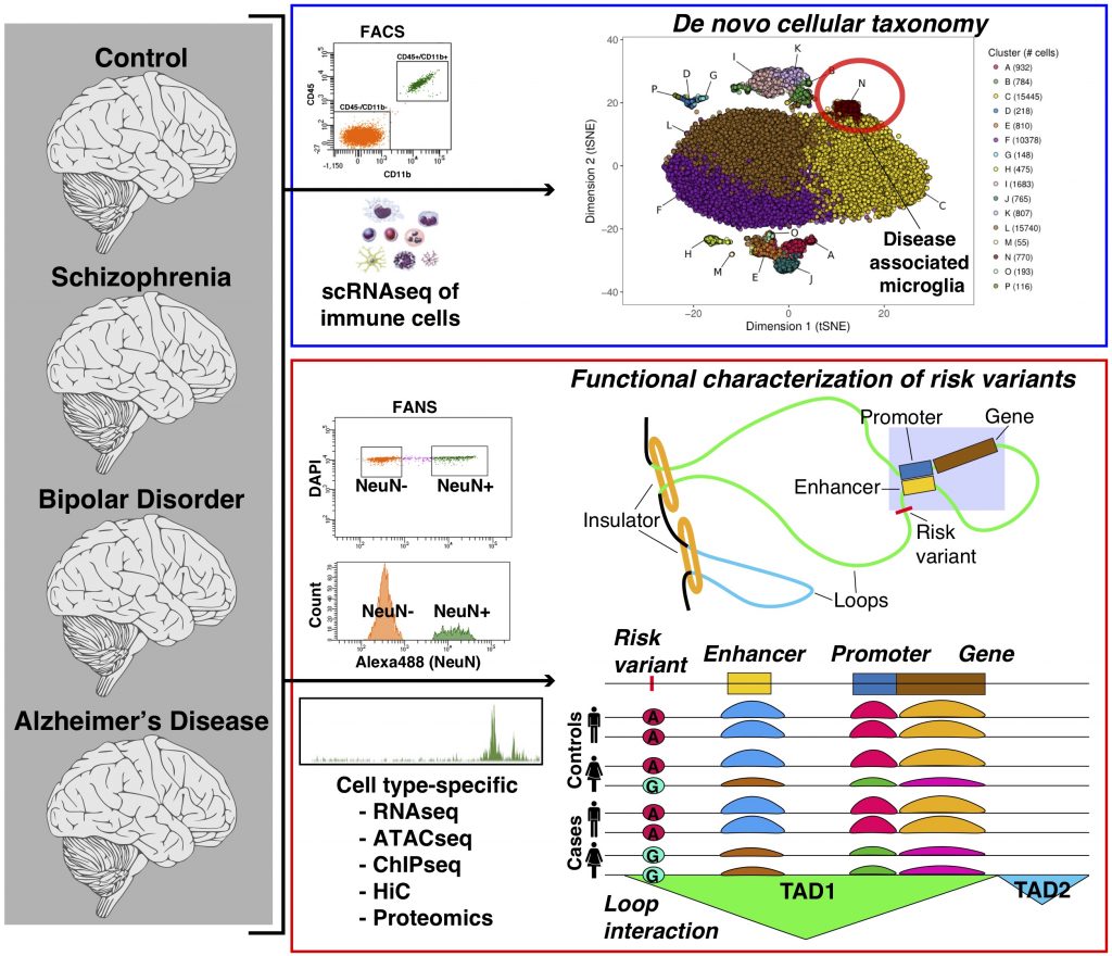 Projects | The Roussos Lab
