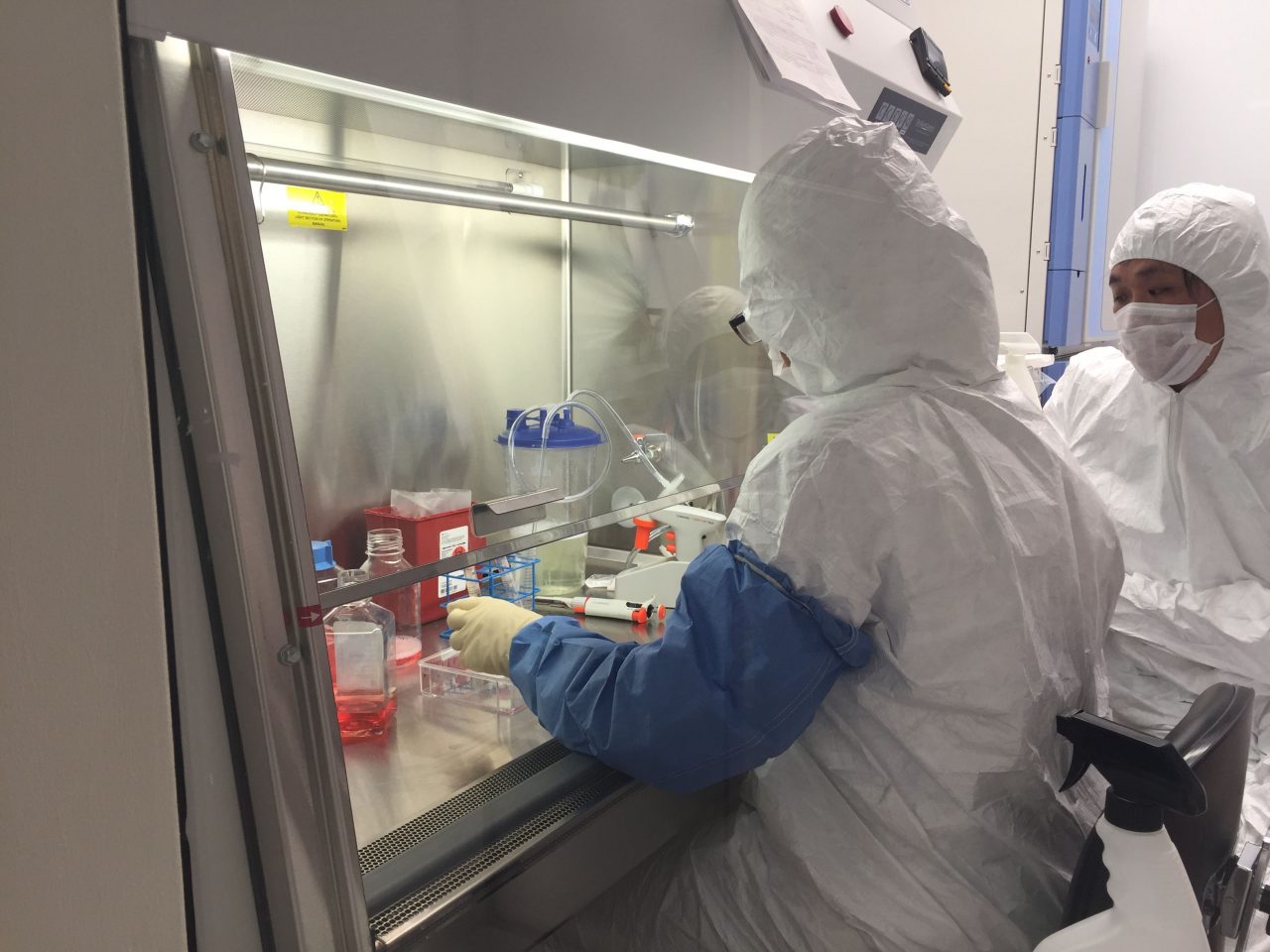 Home - Vaccine and Cell Therapy Laboratory