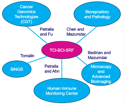 Connection with Other SRFs - TCI Biostatistics Clinical Informatics