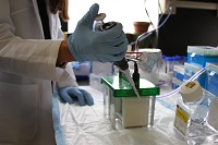 Research | Varga Laboratory