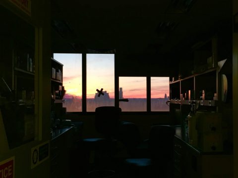 Home Page - Sun Laboratory at ISMMS