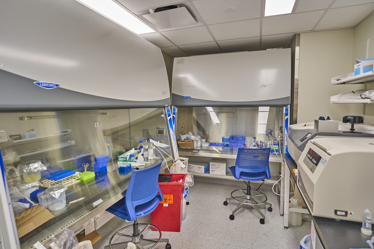 Lab Photos - Ying Laboratory